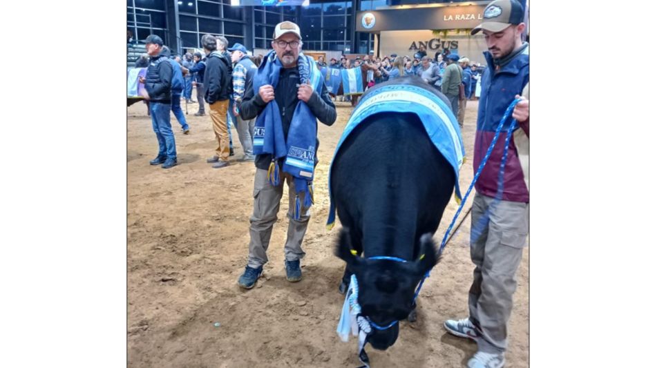 Importantes premios se trae Cabaña Tres Marías de la Expo Angus Otoño 2024