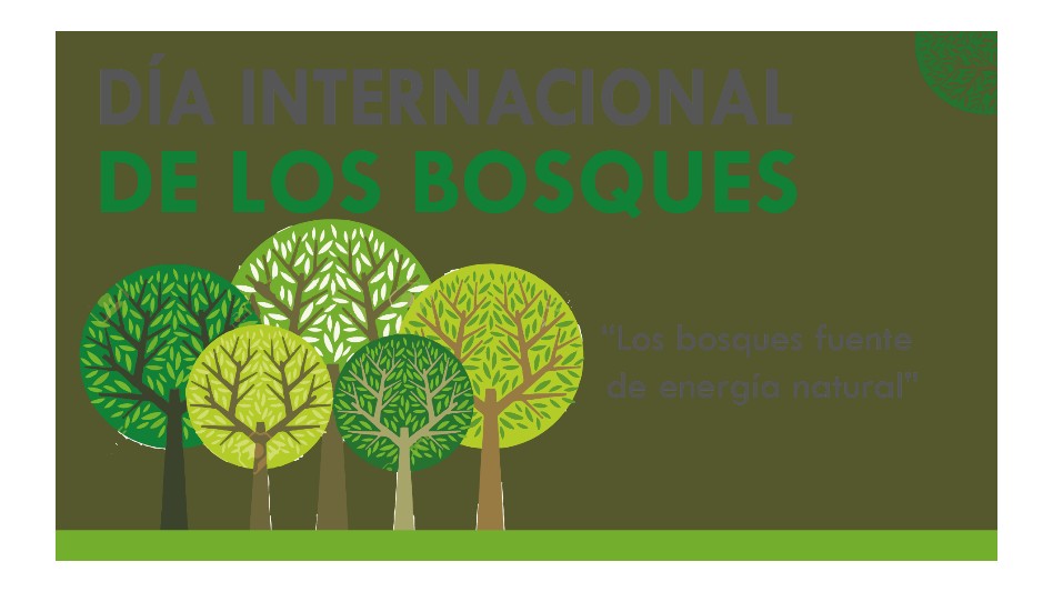 21 de marzo: Día Internacional de los Bosques